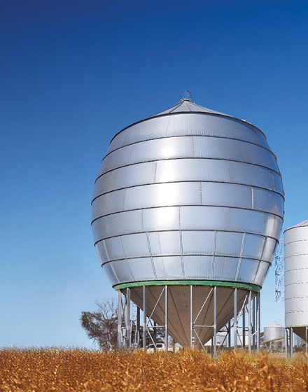 InVigor® | BASF Crop Solutions Australia