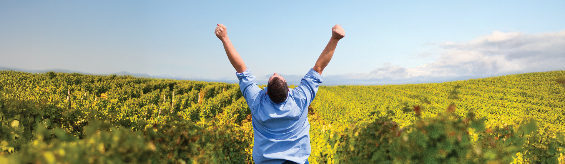 Home | BASF Crop Solutions Australia