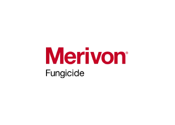 Merivon® | BASF Crop Solutions Australia